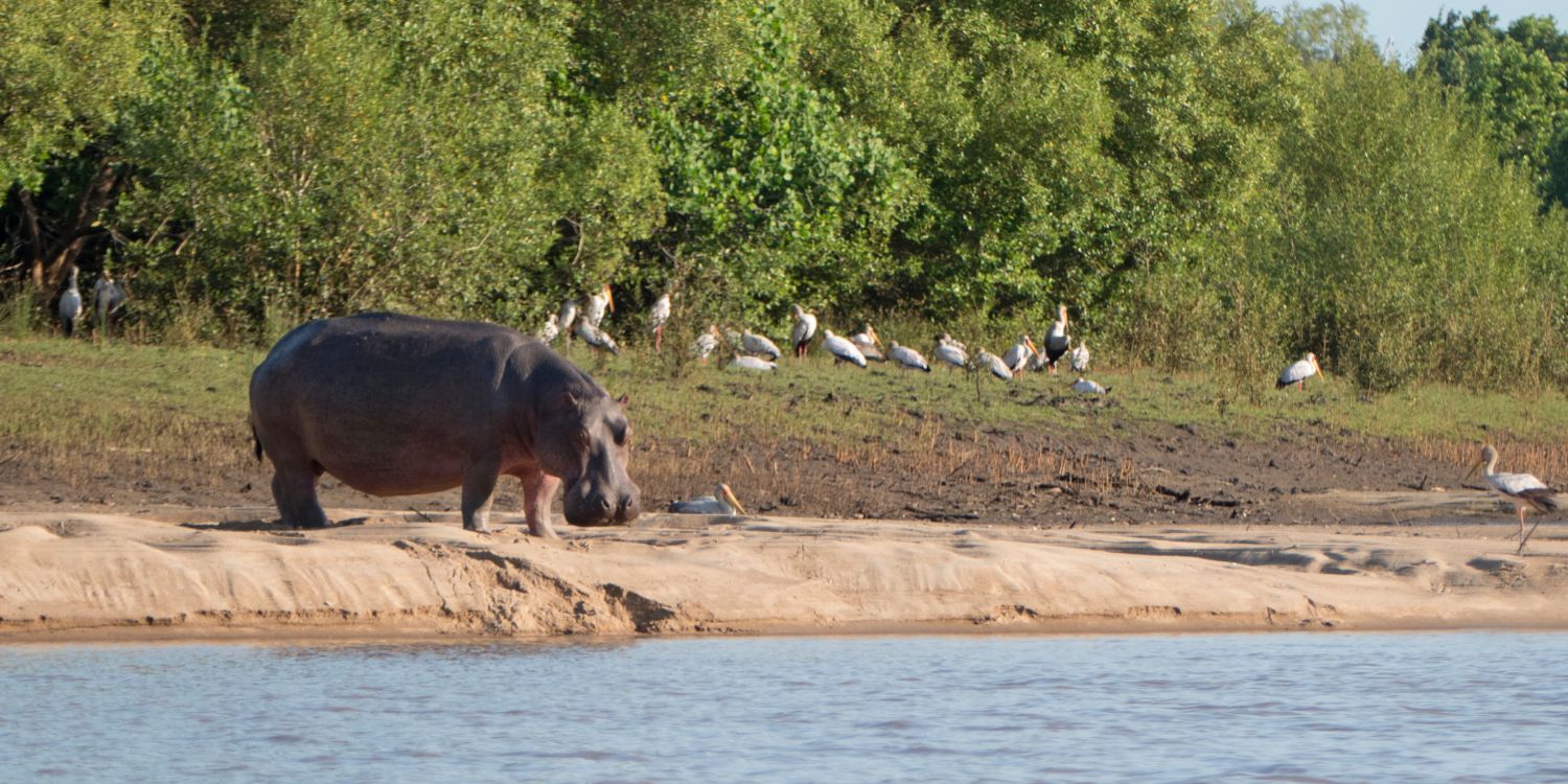 Saadani National Park
